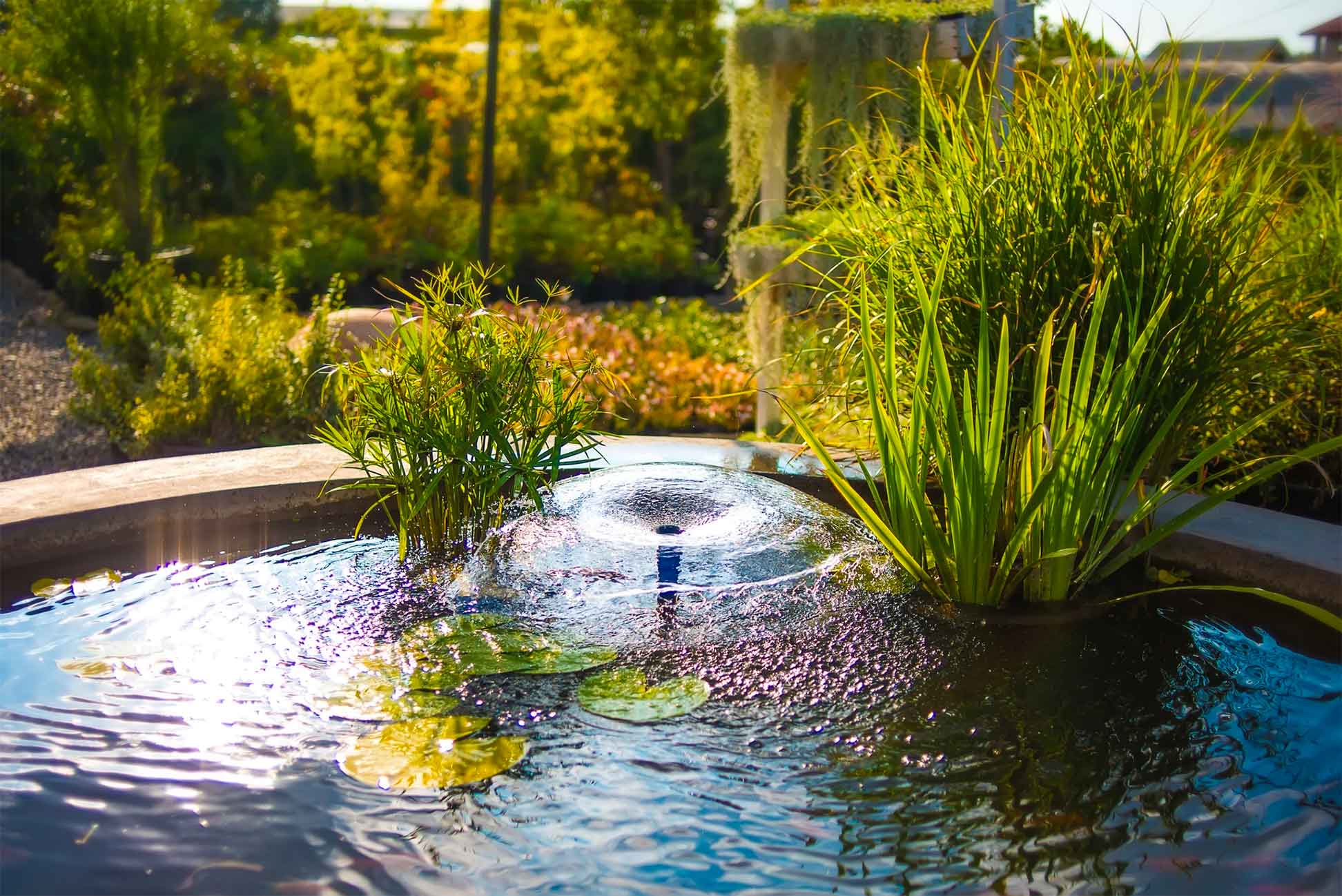 Solar Water Pumps Kits for Fountains & Ponds – Solariver™