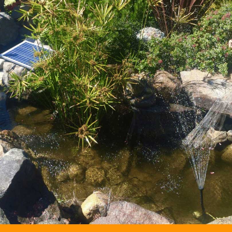 Solar Water Pumps Kits for Fountains & Ponds – Solariver™